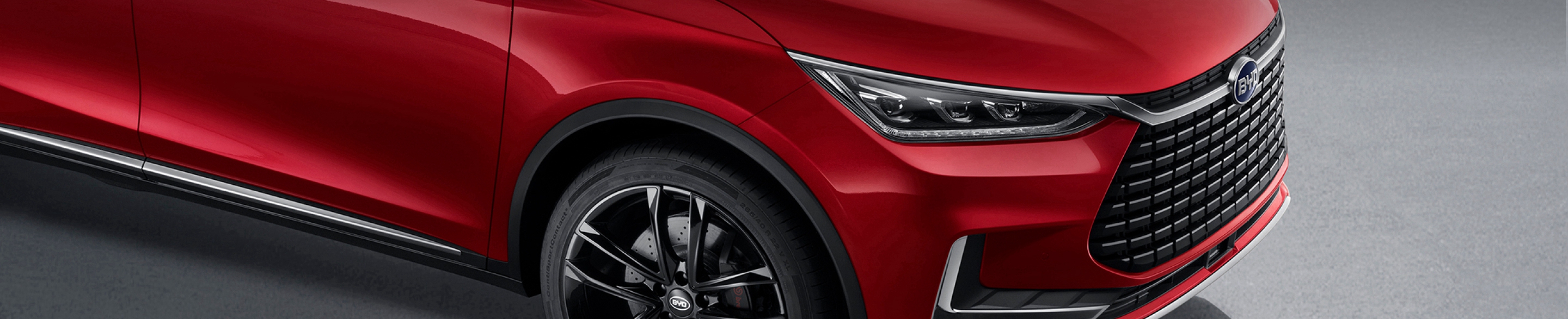 Owner's Manual I BYD AU