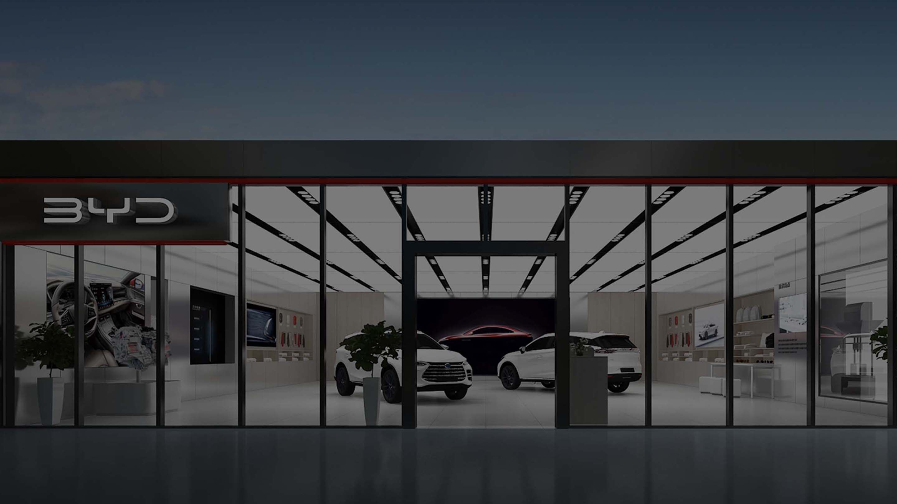 BYD DiLink | BYD Jordan