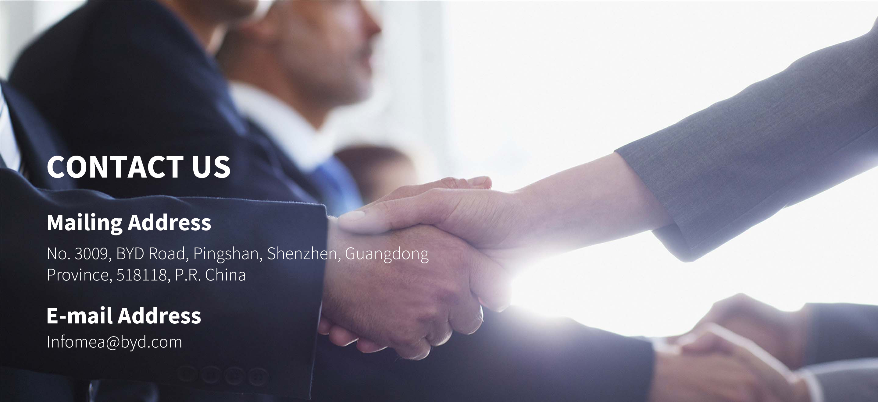 Contact | BYD Lebanon