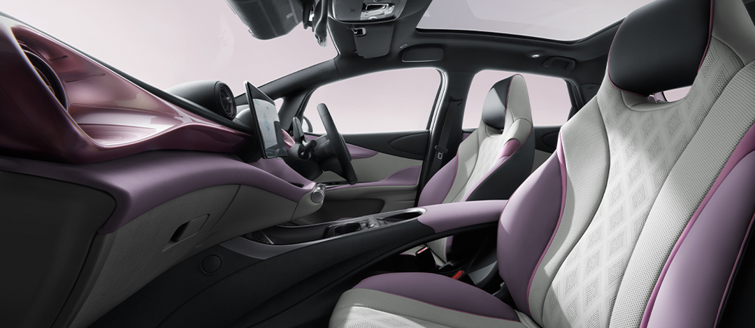 BYD DOLPHIN | BYD Hong Kong,China