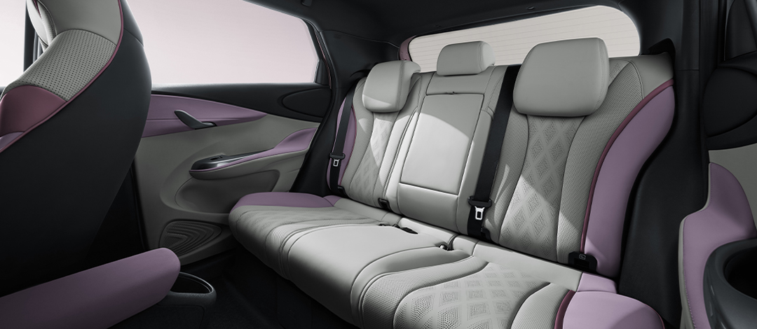 BYD DOLPHIN | BYD Hong Kong,China