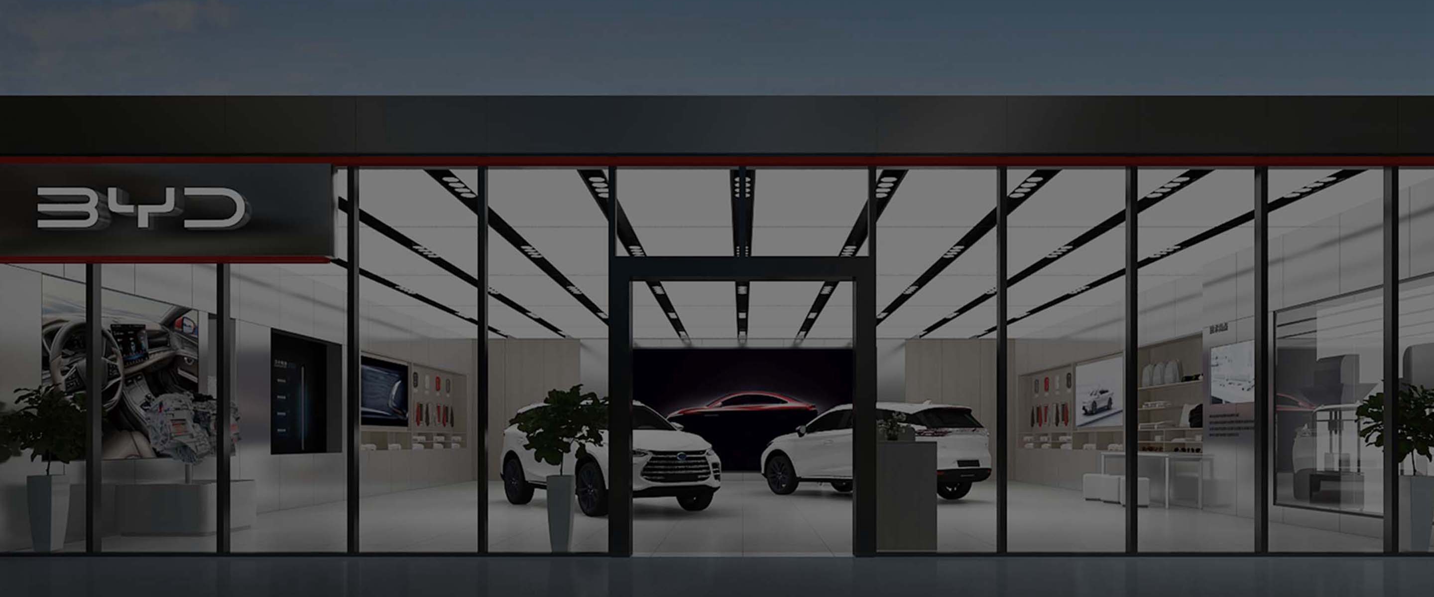 BYD Intelligent Cockpit System | BYD Hong Kong,China