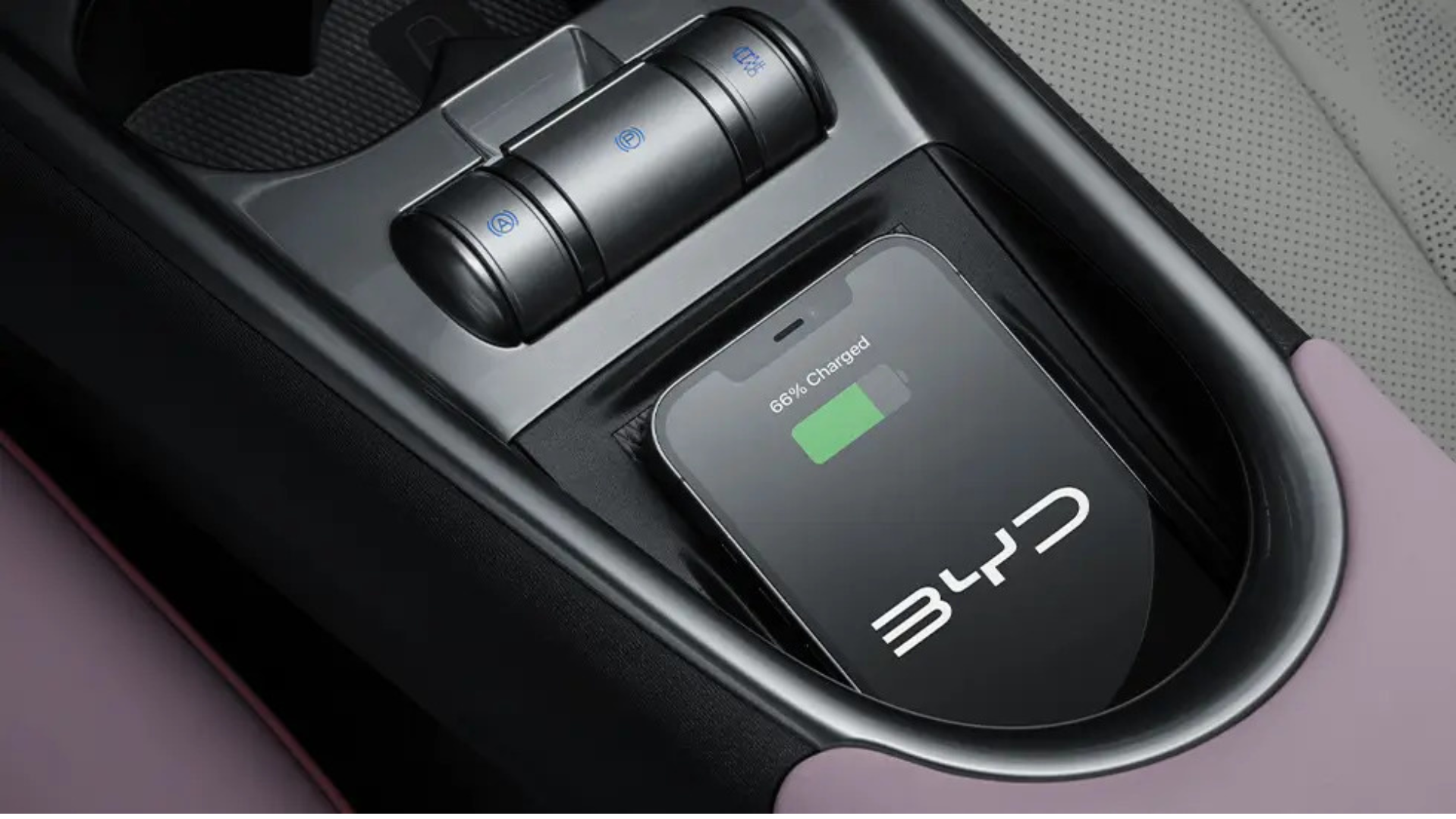 BYD DOLPHIN | BYD Singapore