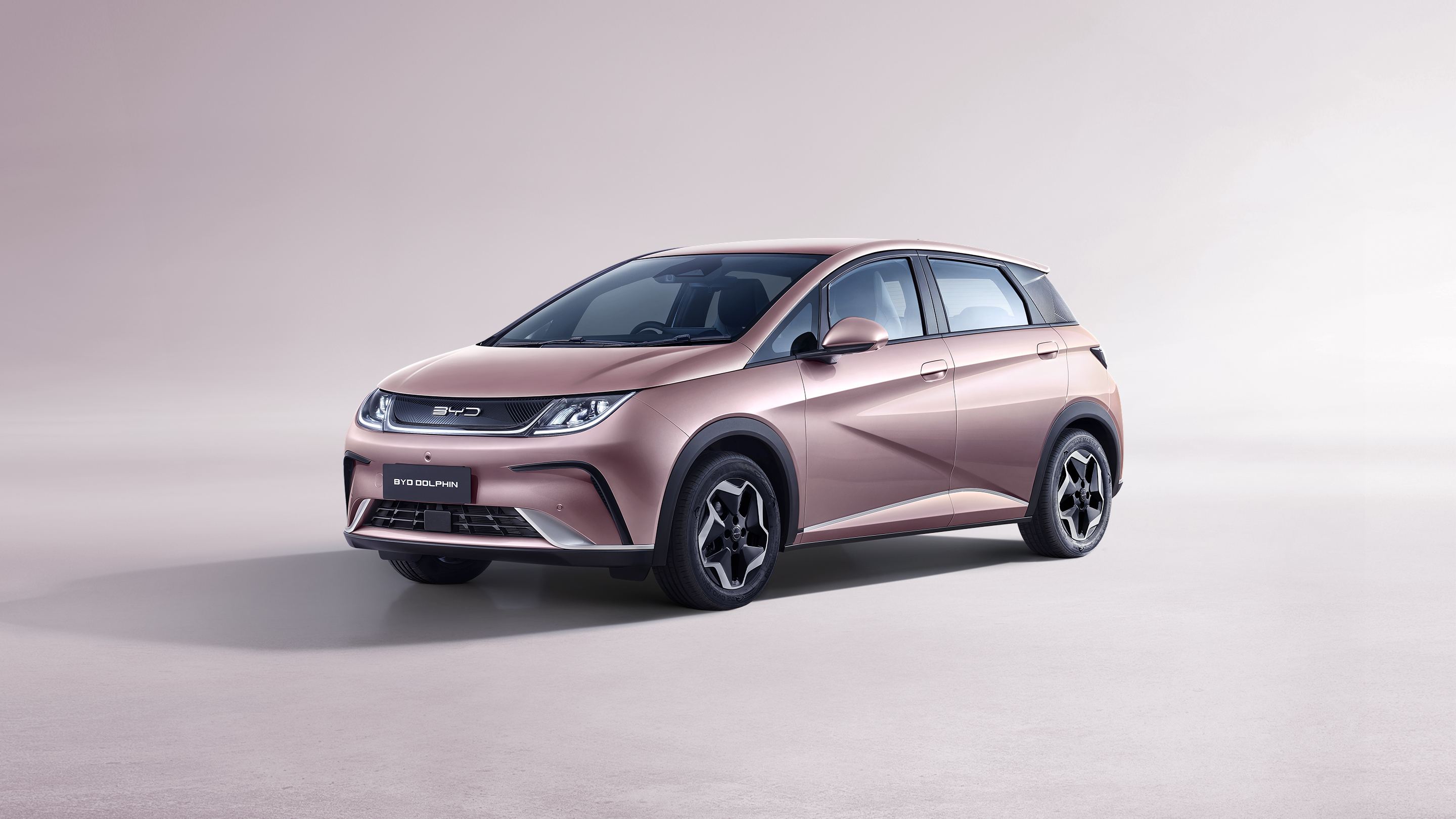 BYD DOLPHIN | BYD Singapore